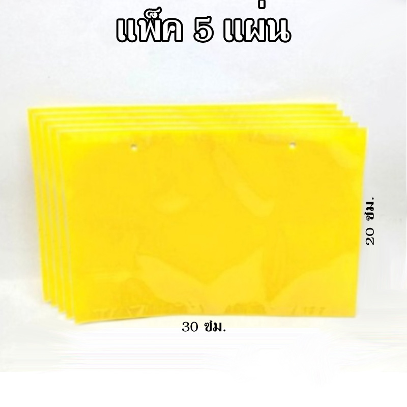 แผ่นกาวดักแมลง สีเหลือง 20x30 cm แพ็ค 5 แผ่น (แผ่นกาวดักแมลง สีเหลือง 20x30 cm แพ็ค 5 แผ่น)